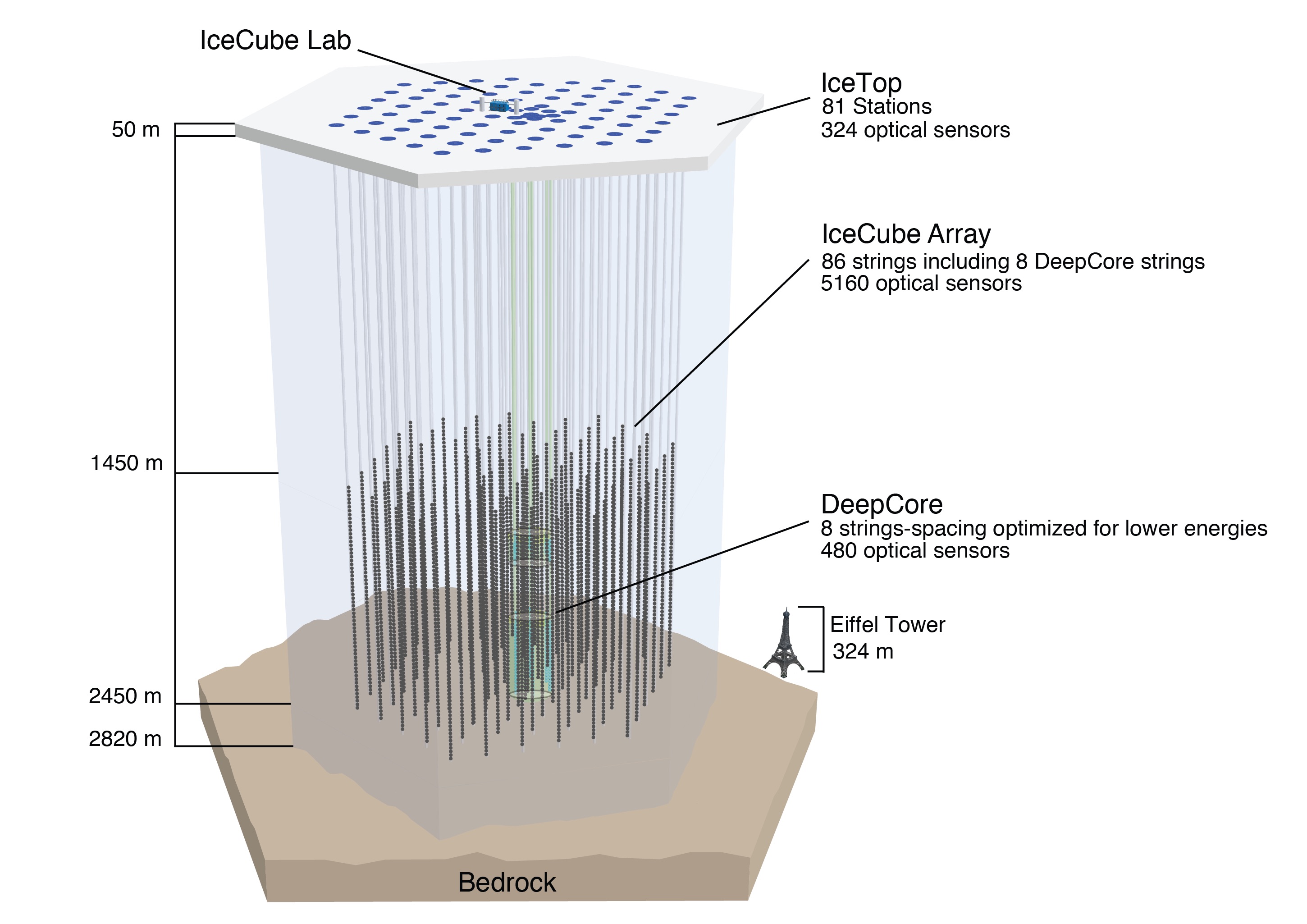 Detector Icecube